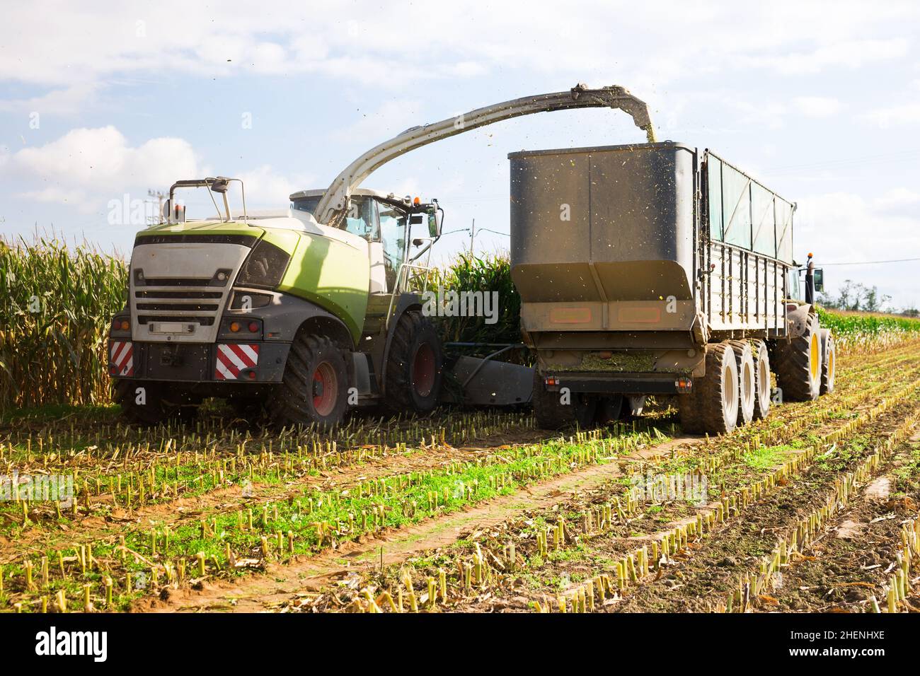 Agricultural machinery produces harvesting of maize Stock Photo - Alamy