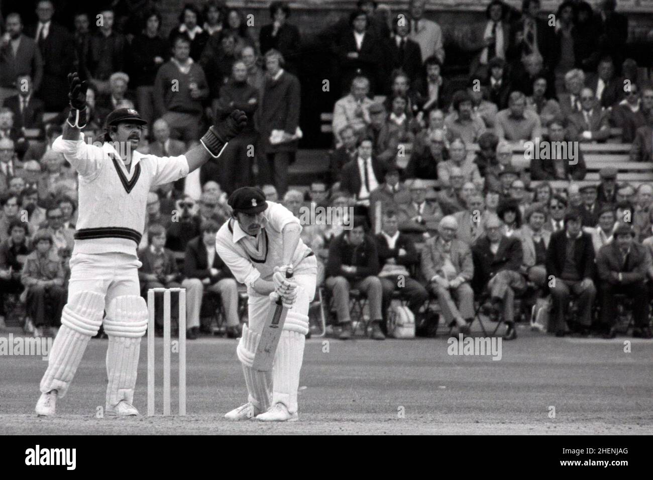 Cricket aus hi-res stock photography and images - Alamy