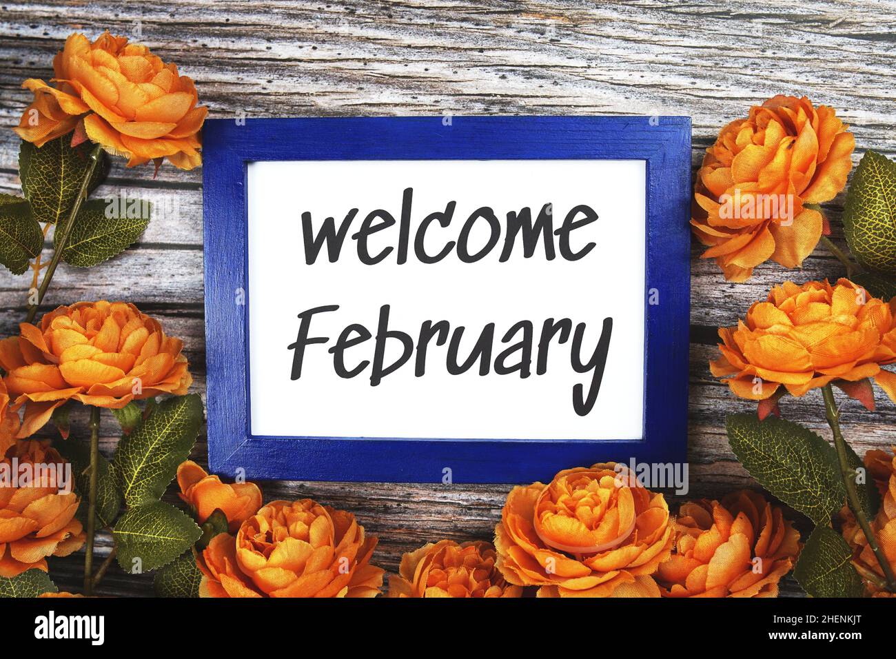 Welcome February text in blue border frame with flower decoration on ...