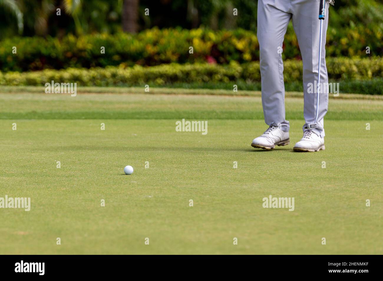 Golf player teeing off. Man hitting golf ball from tee box at Golf Club ...