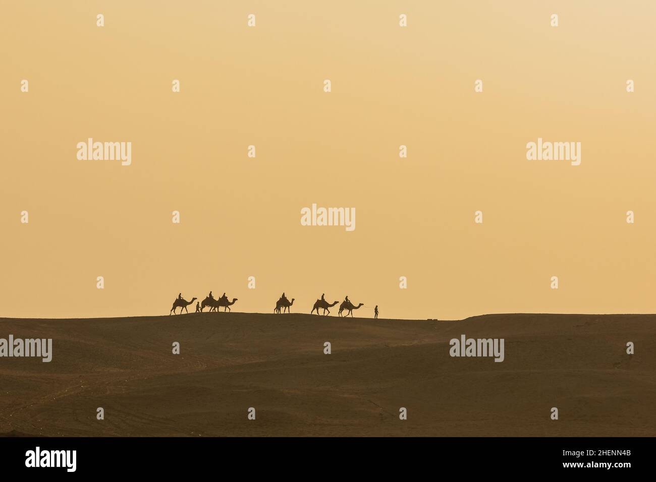 Camel riders atop sand dune, Giza, Egypt Stock Photo - Alamy
