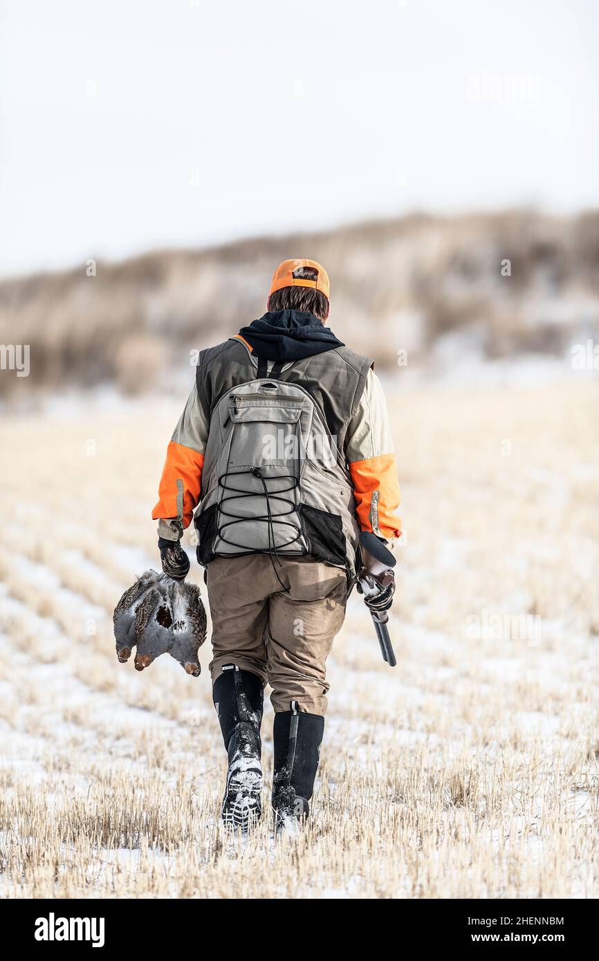 A hunter in North Dakota with Hungarian Partridge on a late fall day ...