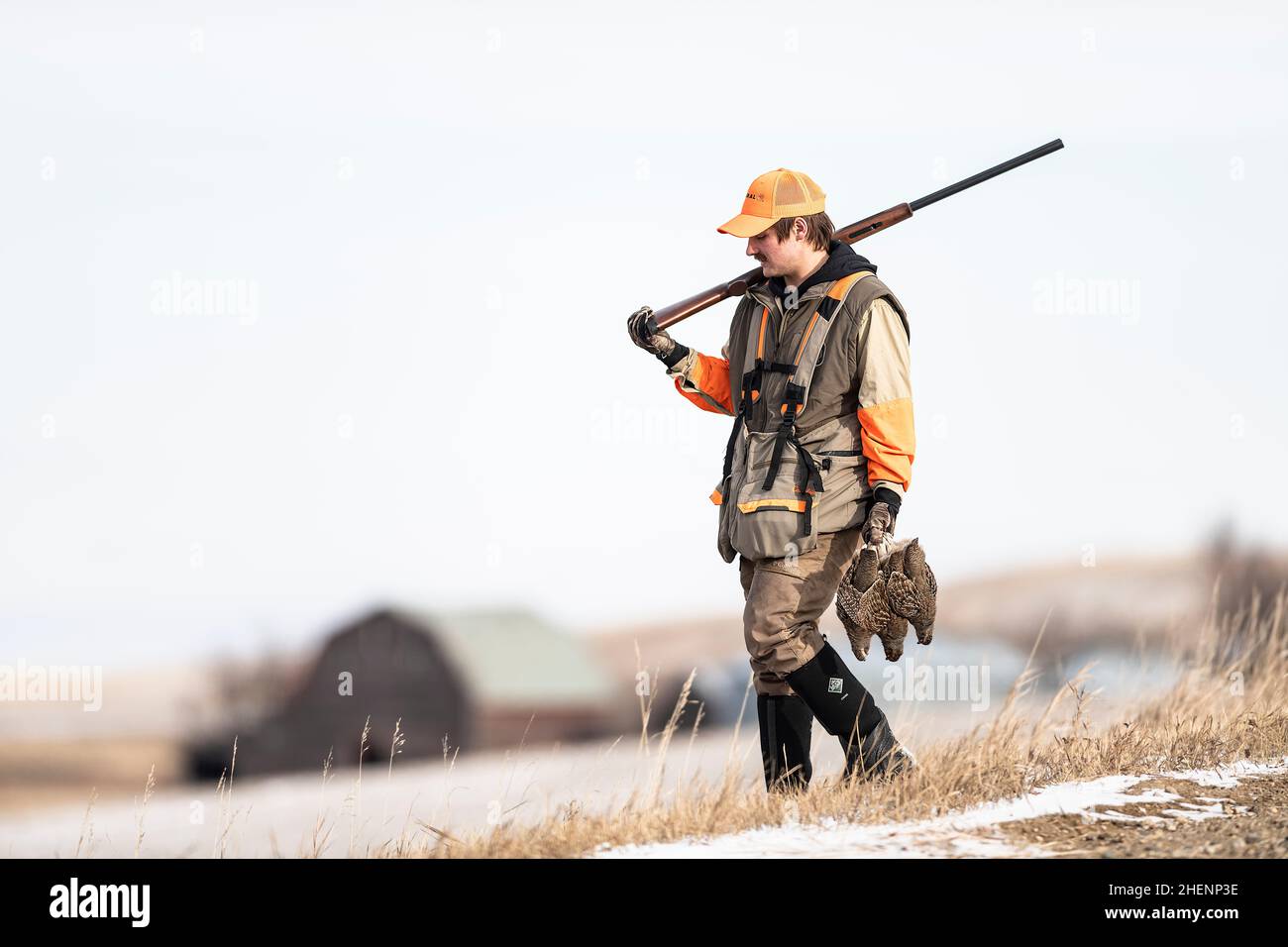 A hunter in North Dakota with Hungarian Partridge on a late fall day ...