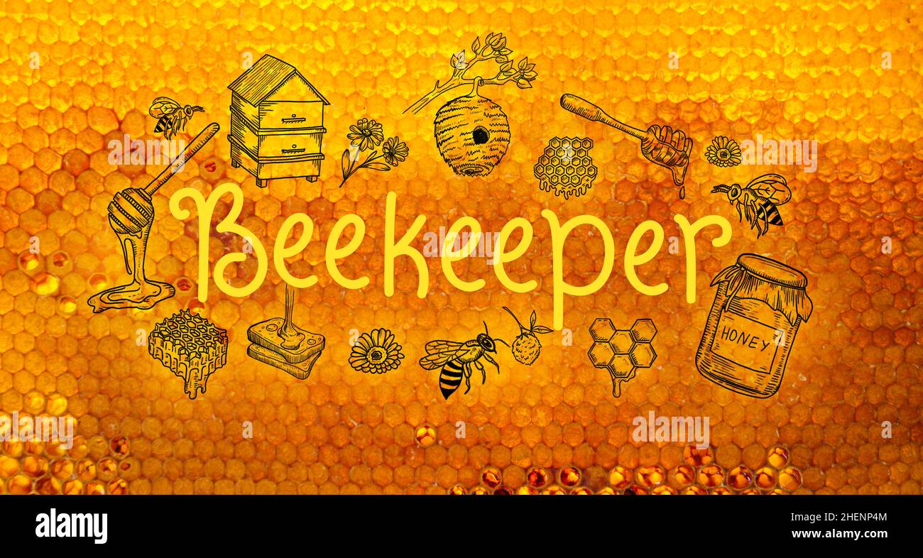 Word BEEKEEPER on honey combs Stock Photo - Alamy