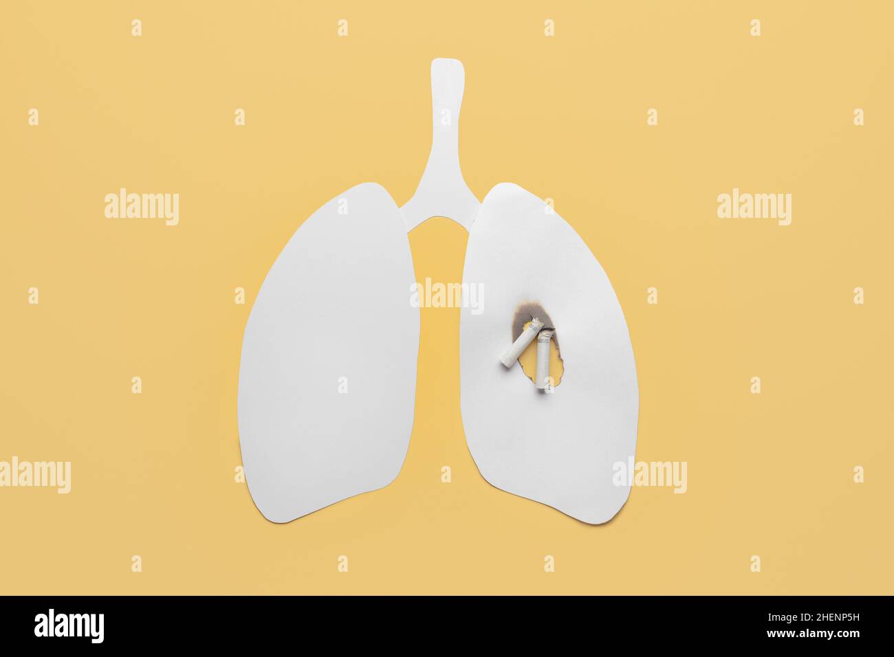 Paper human lungs with cigarette butts on color background Stock Photo ...