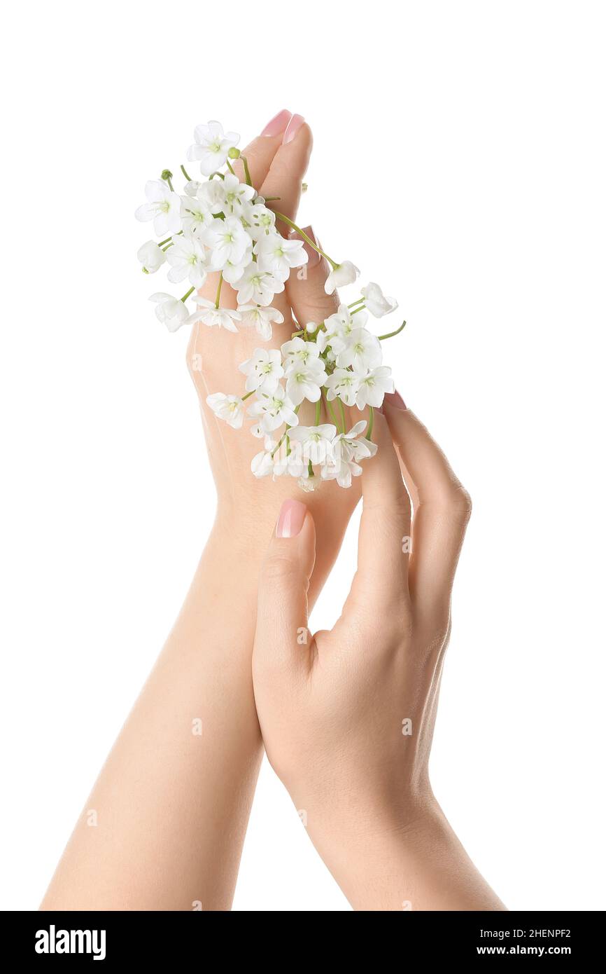 Female hands with fresh flowers on white background Stock Photo - Alamy