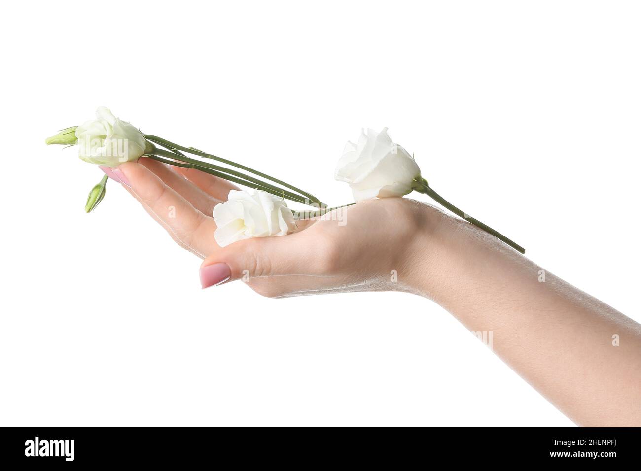 Female hand with flowers on white background Stock Photo - Alamy