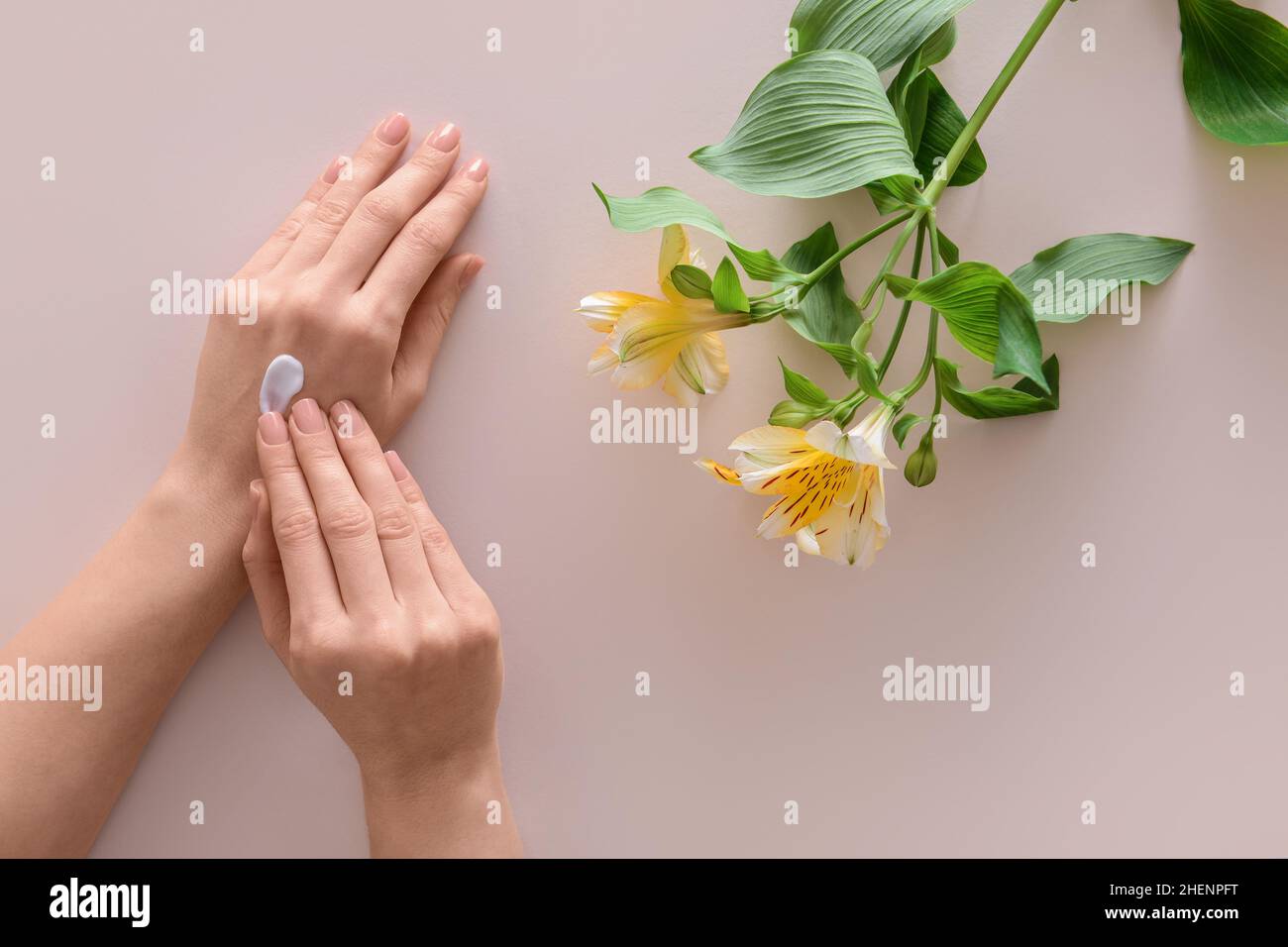 Female hands with cosmetic cream and flowers on light background Stock ...
