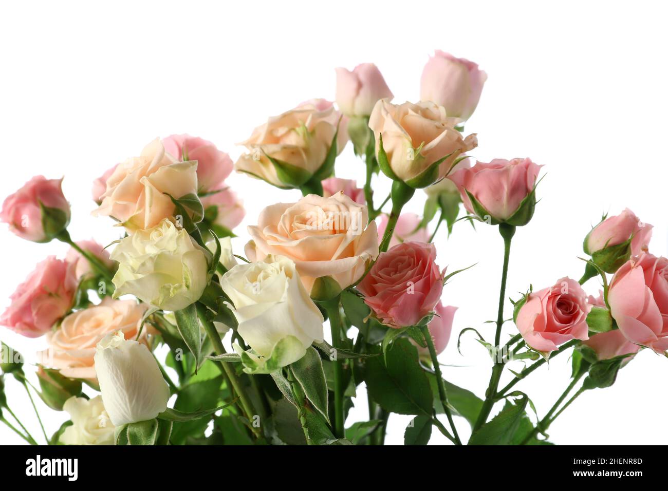 Bouquet of beautiful fresh roses on white background Stock Photo - Alamy