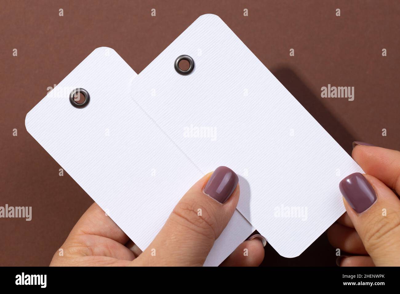 Two cardboard white blank rectangular tags with small holes in upper ...