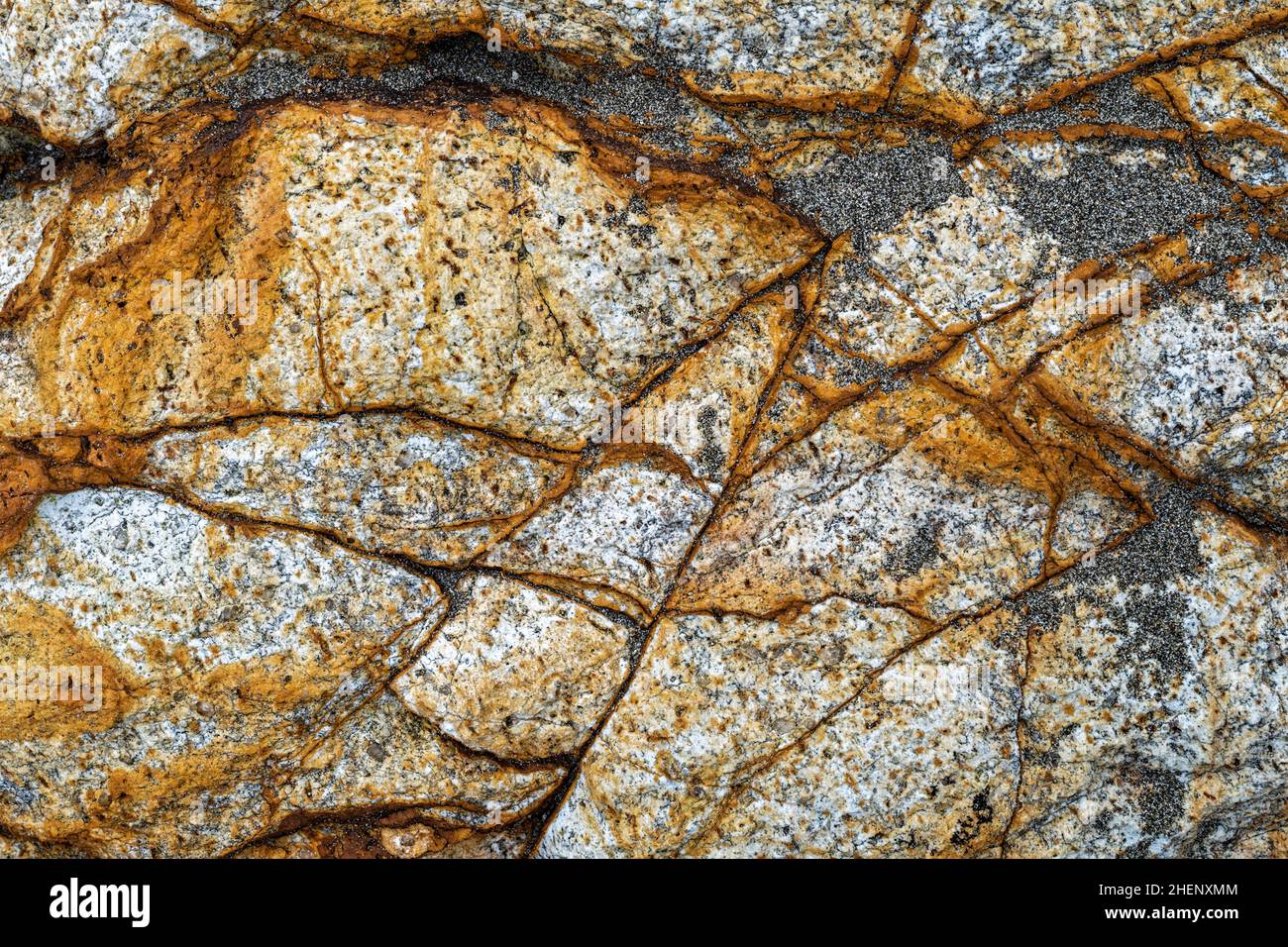 Detail of cracked rock formations on the beach at Harris Beach State ...