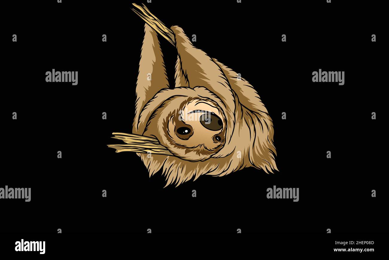 Hanging sloth with wood monogram vector template Stock Vector Image ...