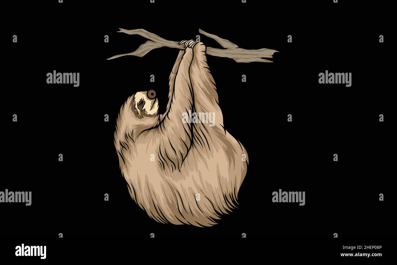 Hanging sloth with wood monogram vector template Stock Vector Image ...