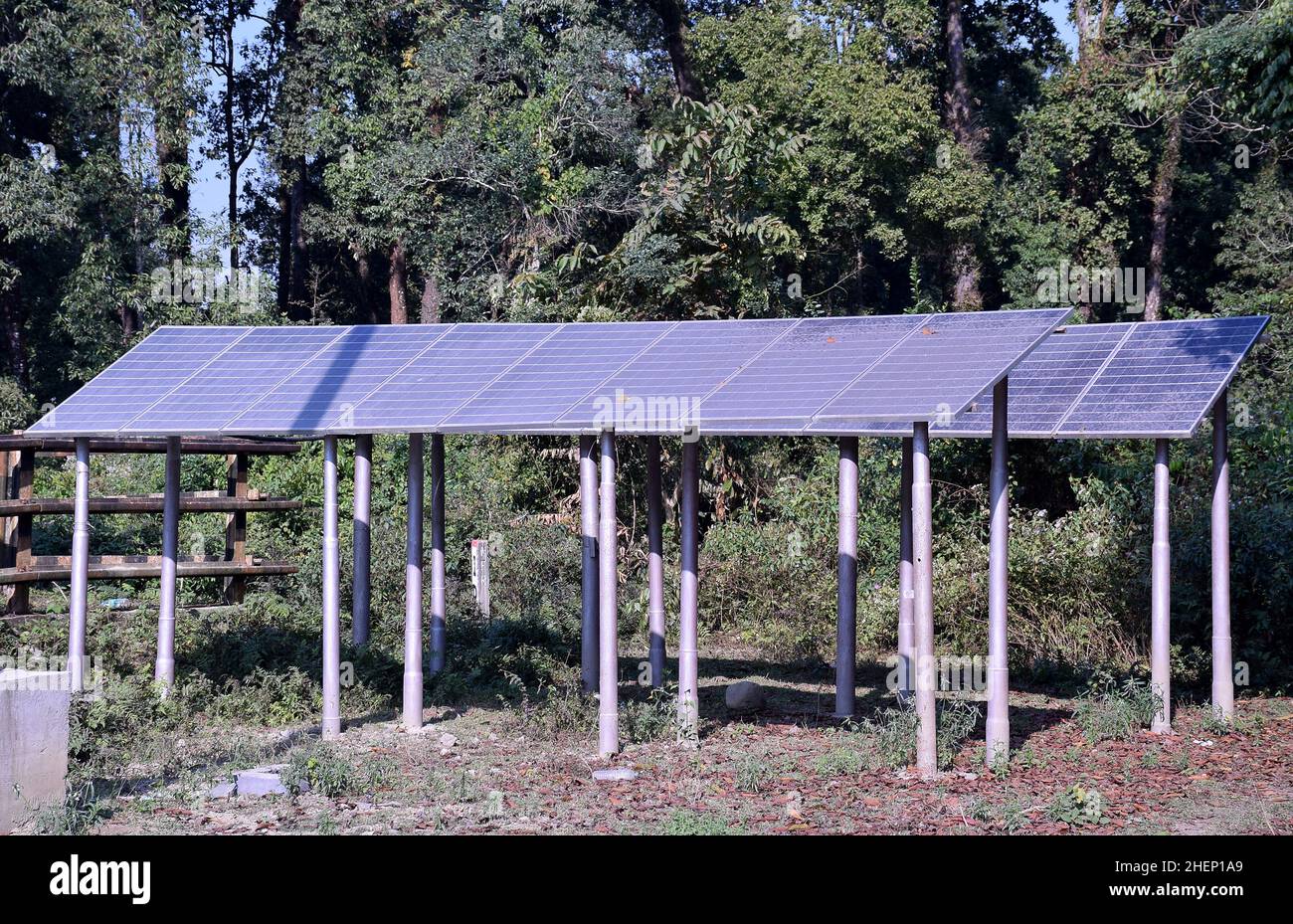 Solar Panel rooftop installed near a forest in India Stock Photo - Alamy