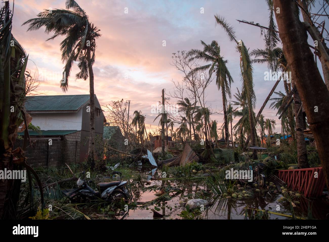 Siargao Island on the Day After The Destructive Typhoon Odette, Broken ...