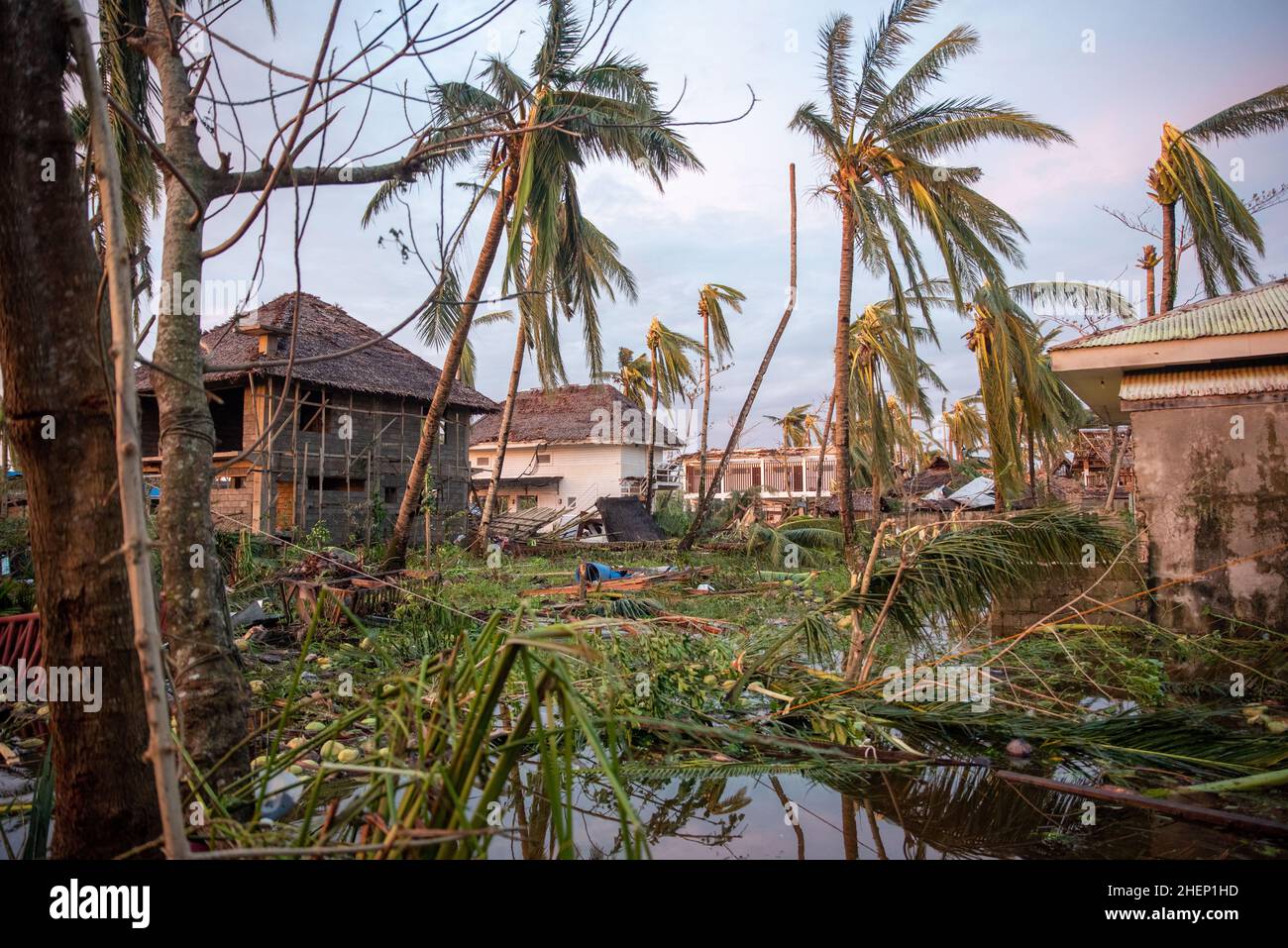Siargao Island on the Day After The Destructive Typhoon Odette, Broken ...