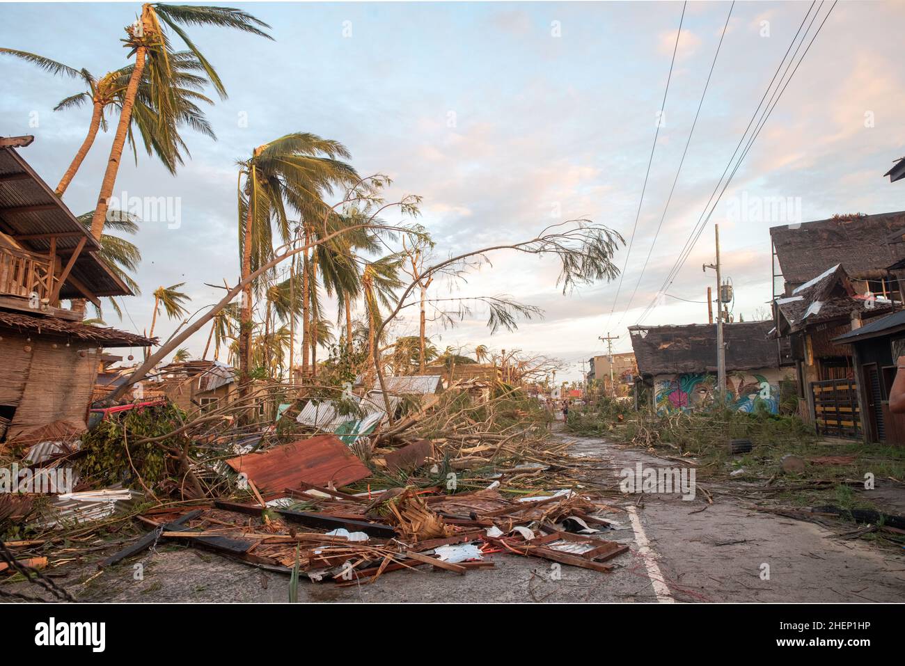 Siargao Island on the Day After The Destructive Typhoon Odette, Broken ...