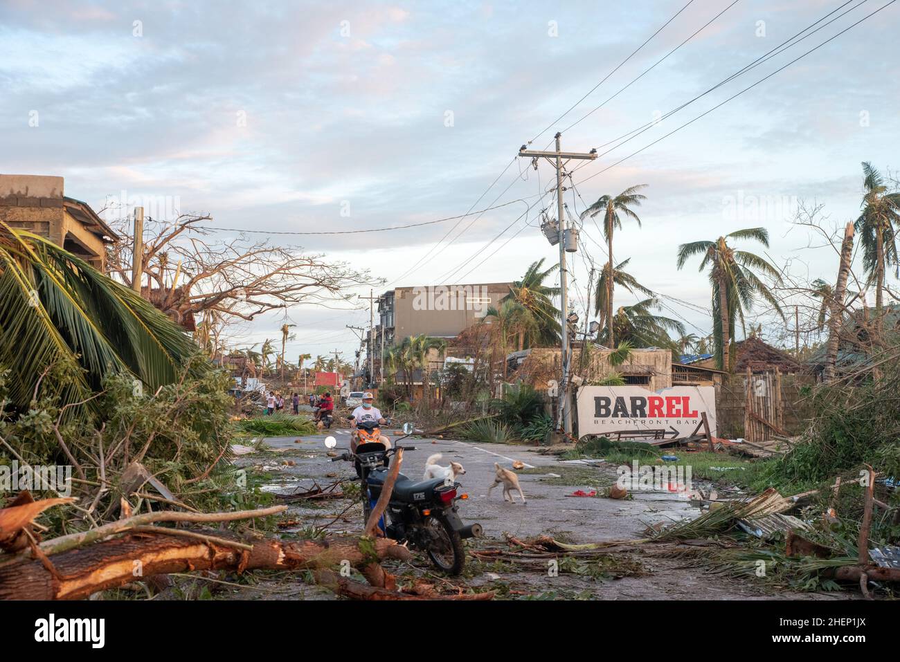 Siargao Island on the Day After The Destructive Typhoon Odette, Broken ...