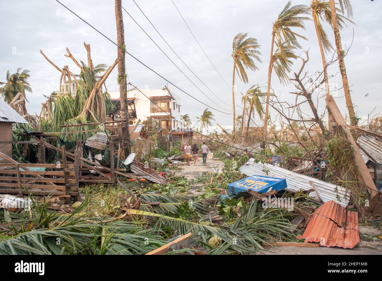 Siargao Island on the Day After The Destructive Typhoon Odette, Broken ...