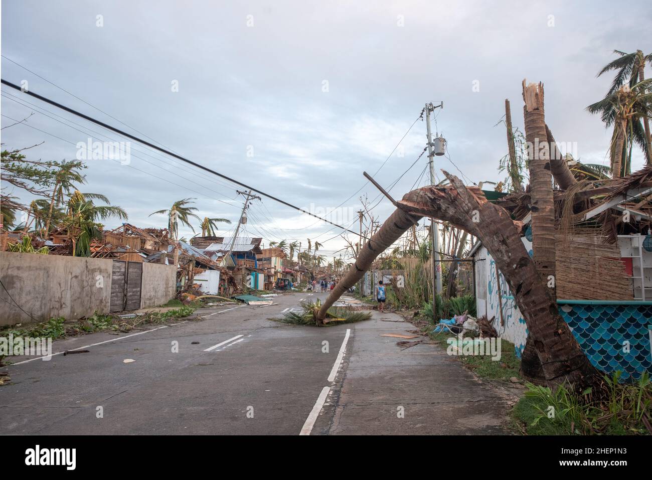 Siargao Island on the Day After The Destructive Typhoon Odette, Broken ...