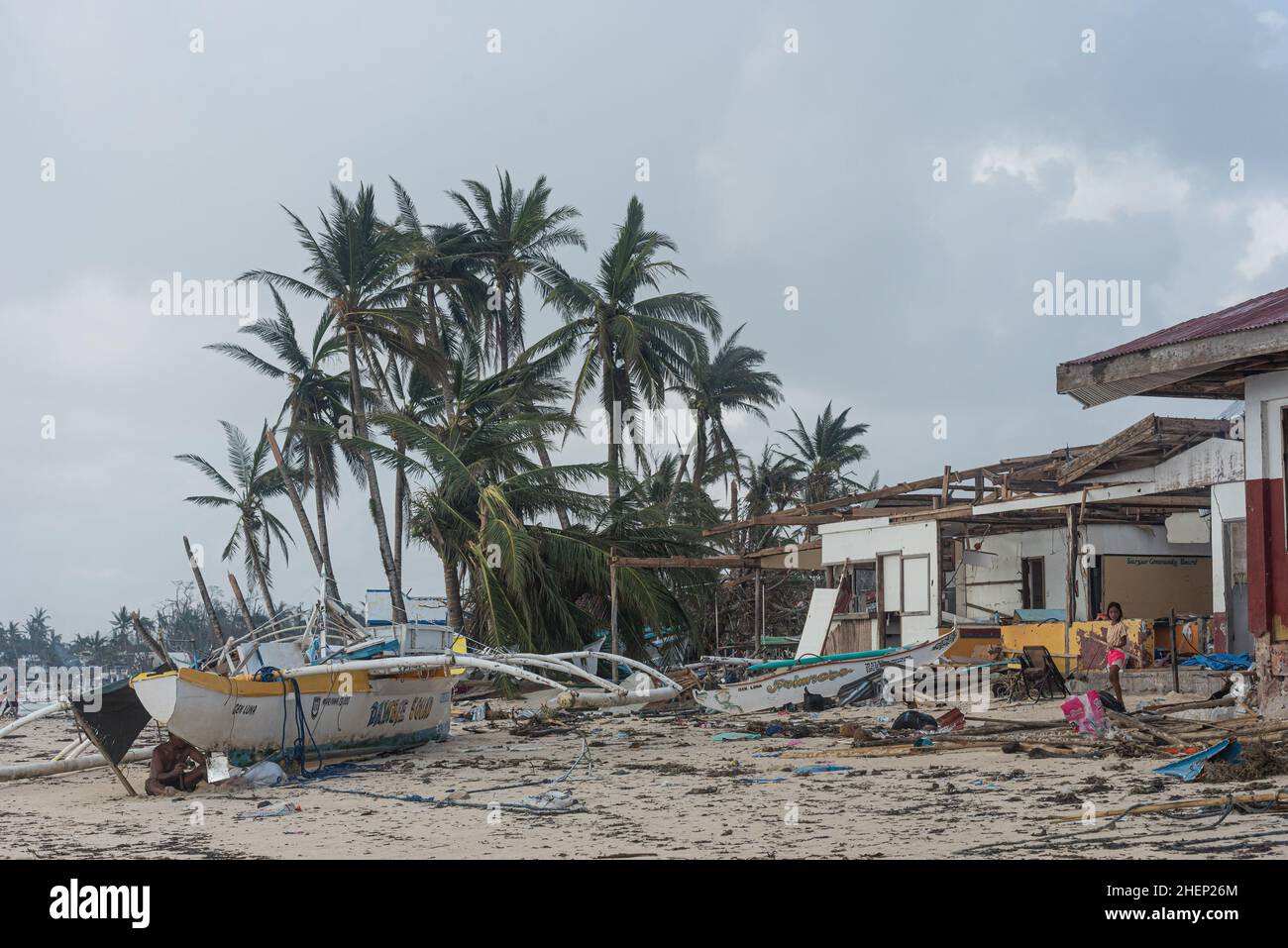 Siargao Island on the Day After The Destructive Typhoon Odette, Broken ...