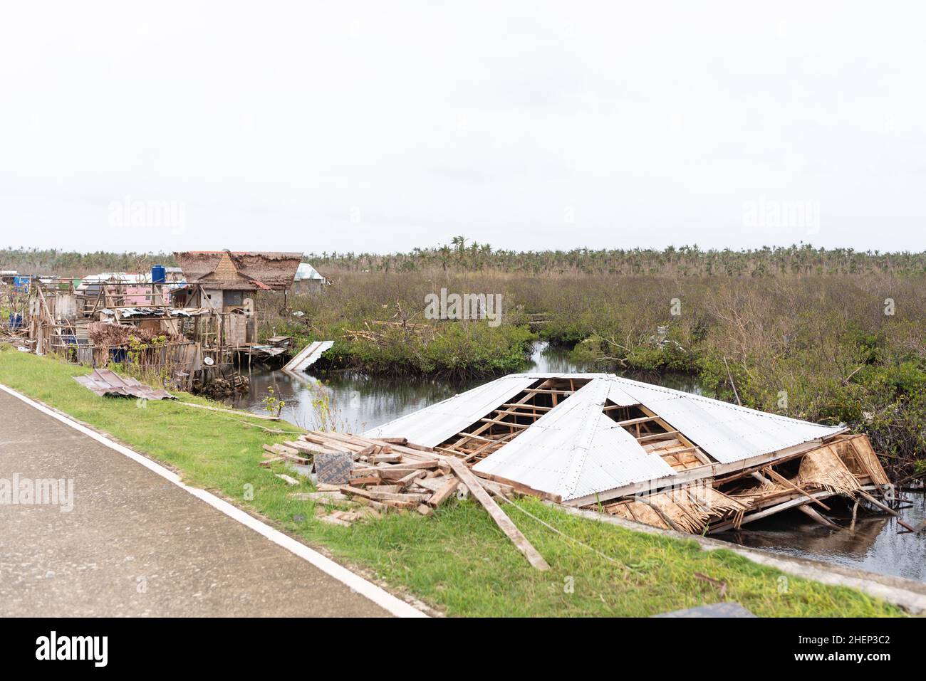 Siargao Island on the Day After The Destructive Typhoon Odette, Broken ...