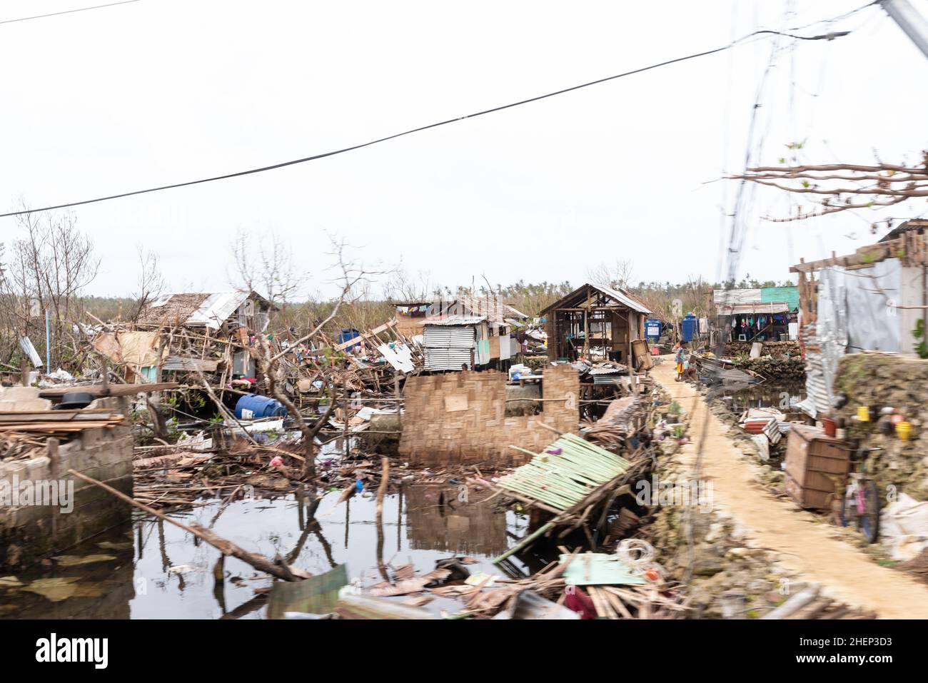 Siargao Island on the Day After The Destructive Typhoon Odette, Broken ...