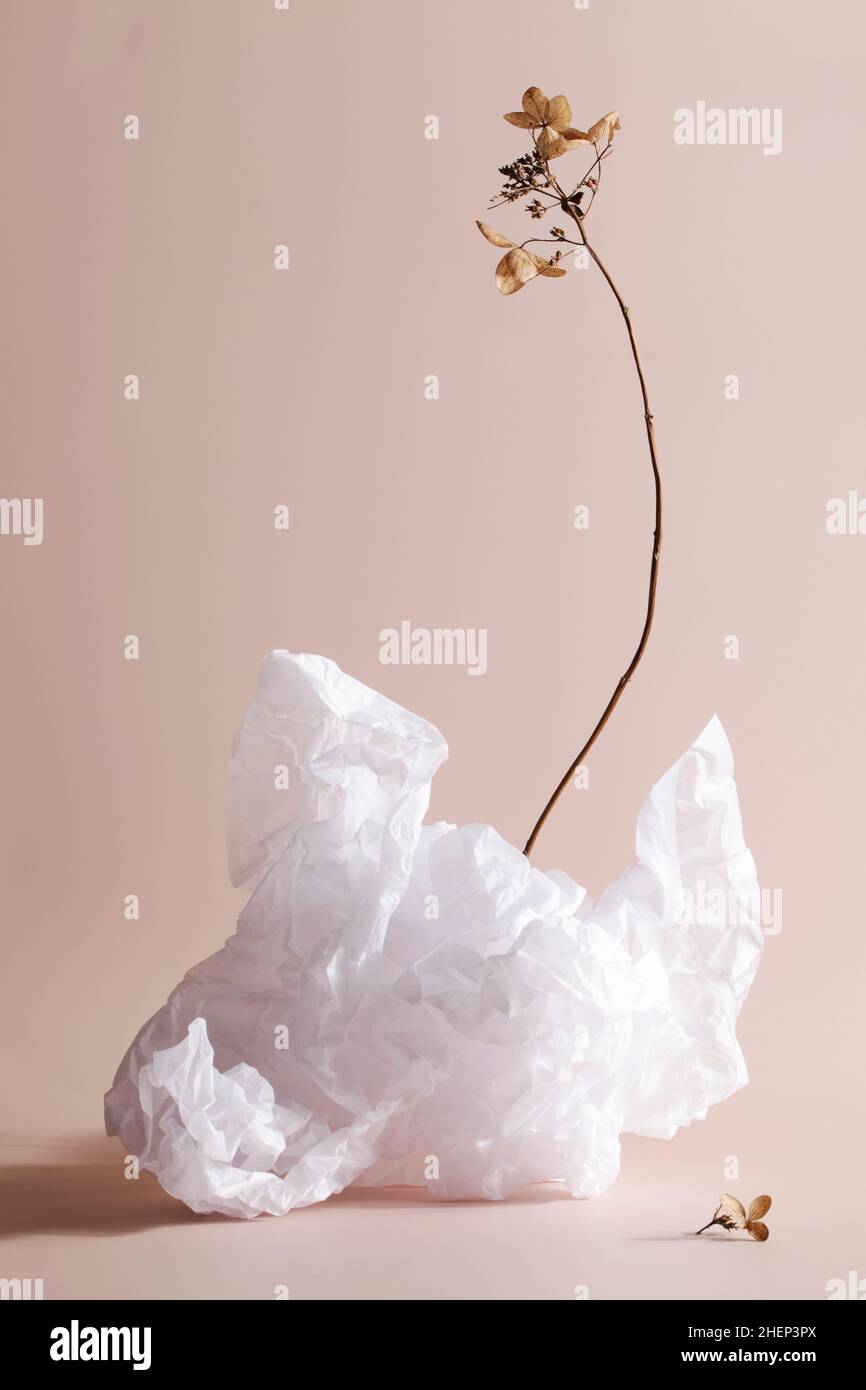 dry flower in crumpled paper on beige background. natural background ...