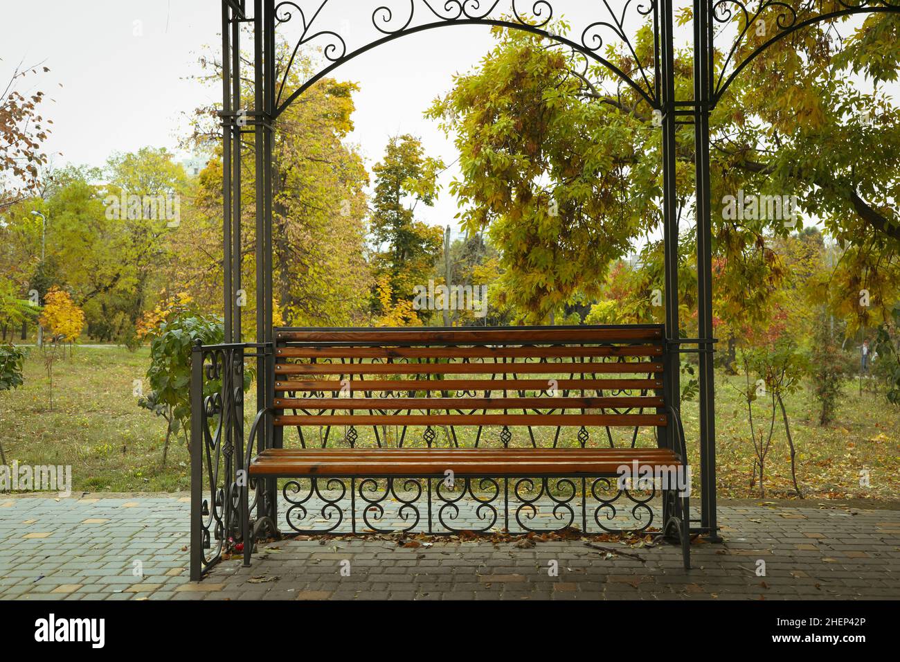 Bench in park with trees with autumn leaves Stock Photo - Alamy