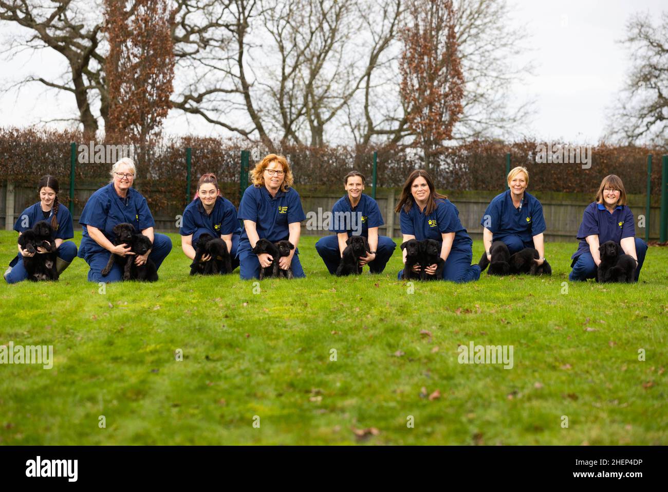 EDITORIAL USE ONLY Dog Care and Welfare staff at the Guide Dogs ...