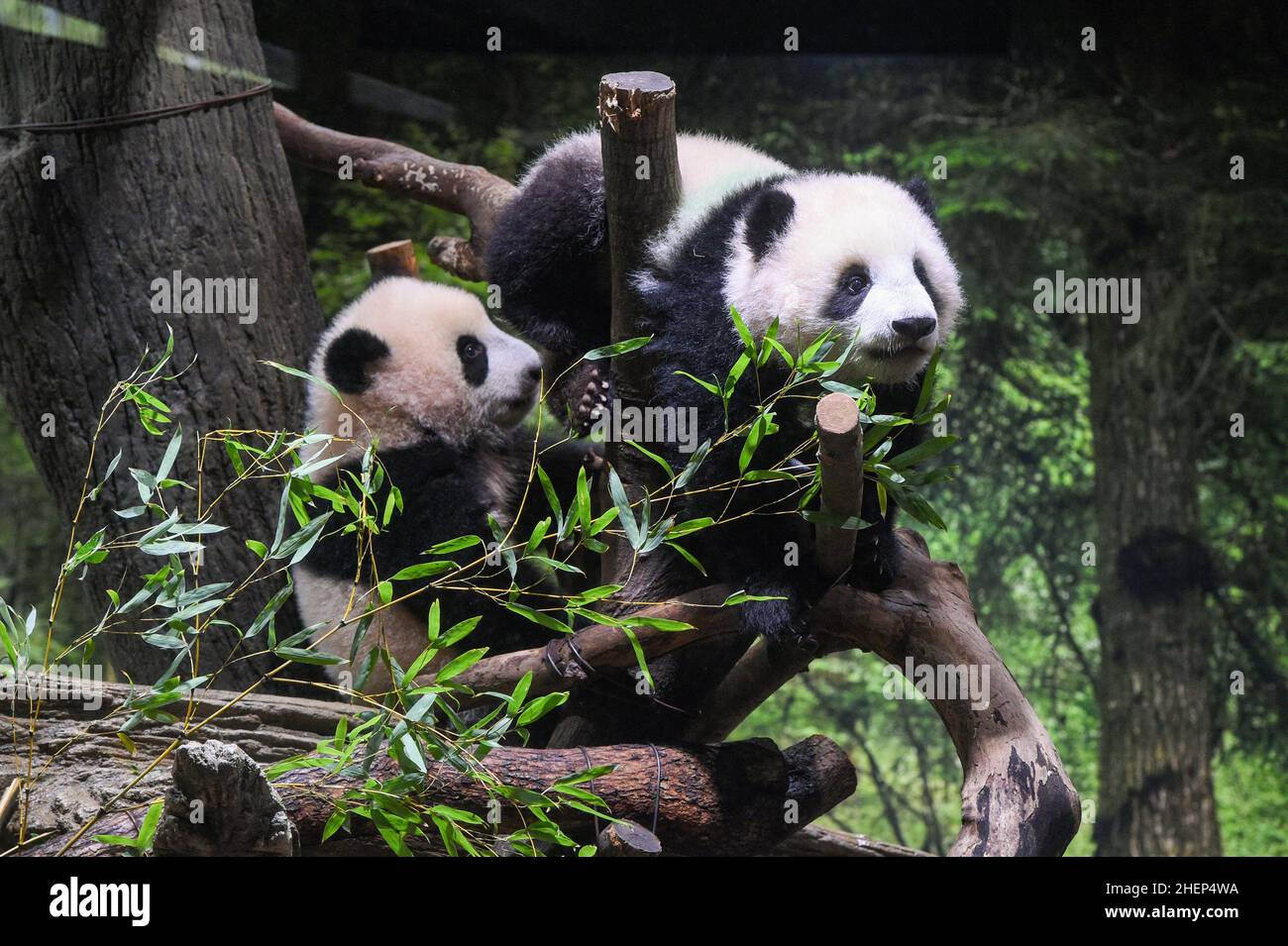 (220112) -- TOKYO, Jan. 12, 2022 (Xinhua) -- Photo taken on Jan. 10 ...