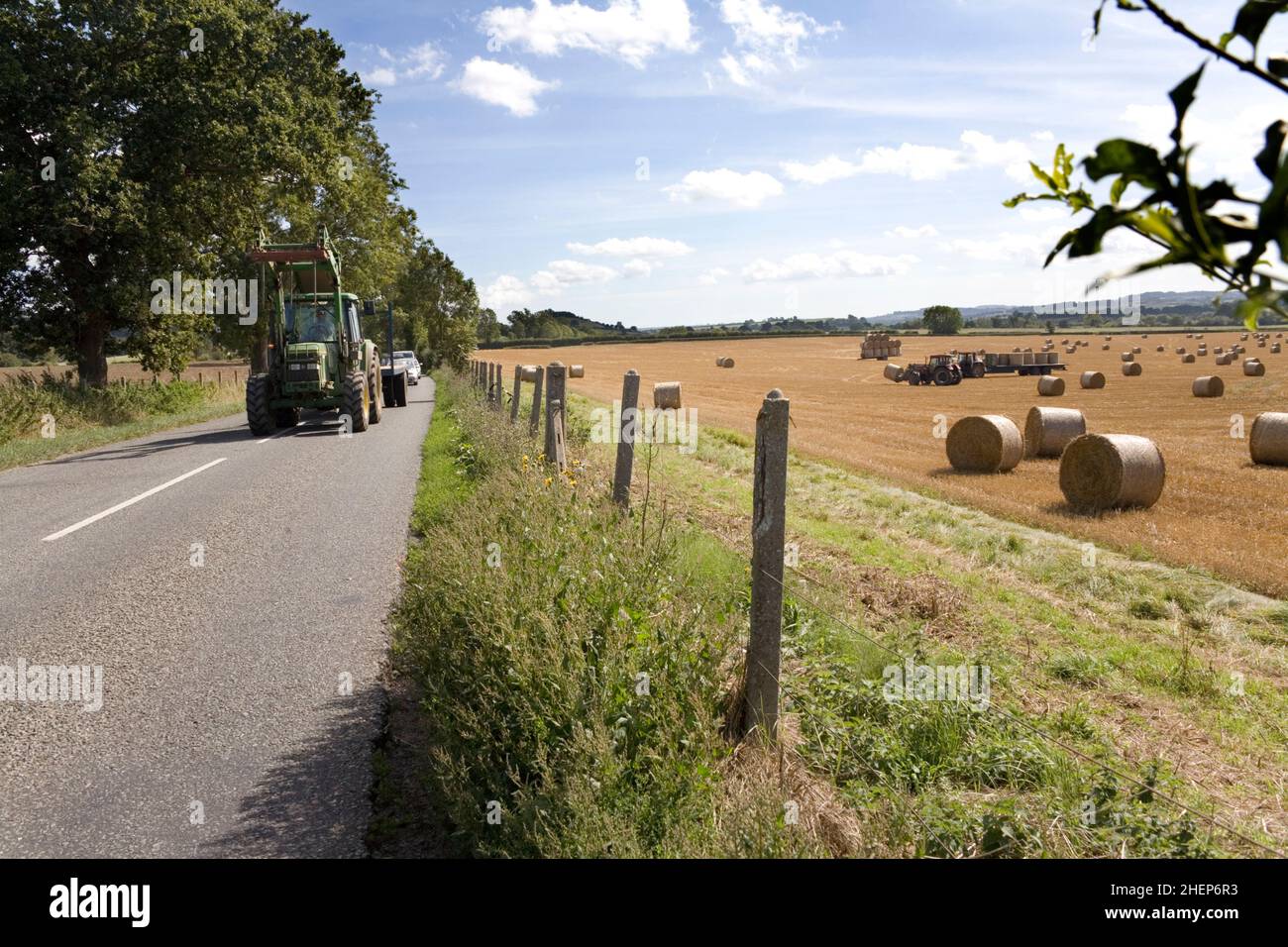 Tractor trailer full wheat drives hi-res stock photography and images ...