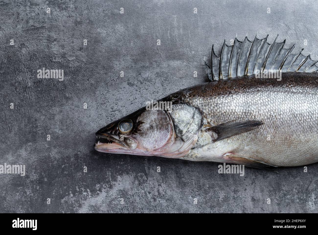 Seafood on grey concrete hi-res stock photography and images - Alamy