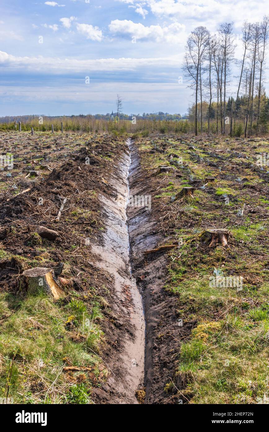 Digged drainage ditch on a clear cut Stock Photo - Alamy