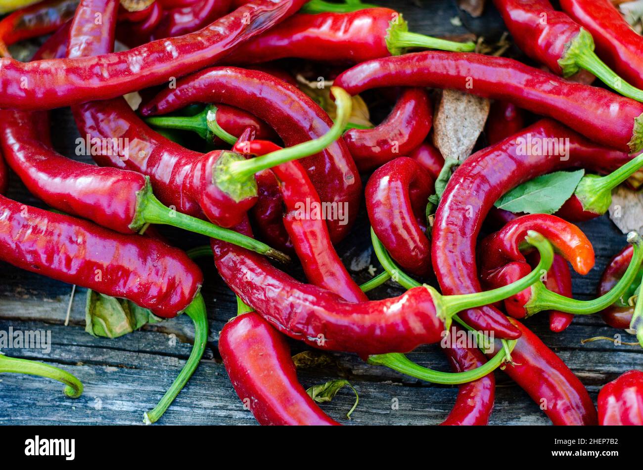 red chilli background Stock Photo - Alamy