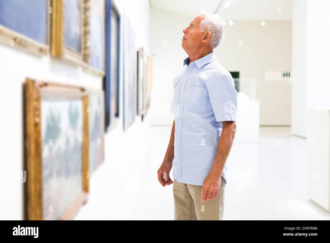 Senior man visiting modern art gallery hi-res stock photography and ...