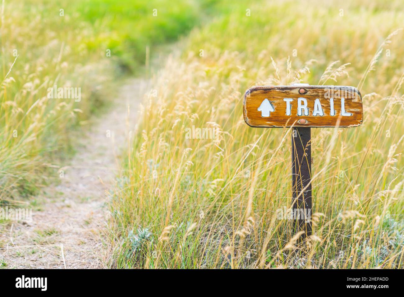 trail sign on the grass field Stock Photo - Alamy