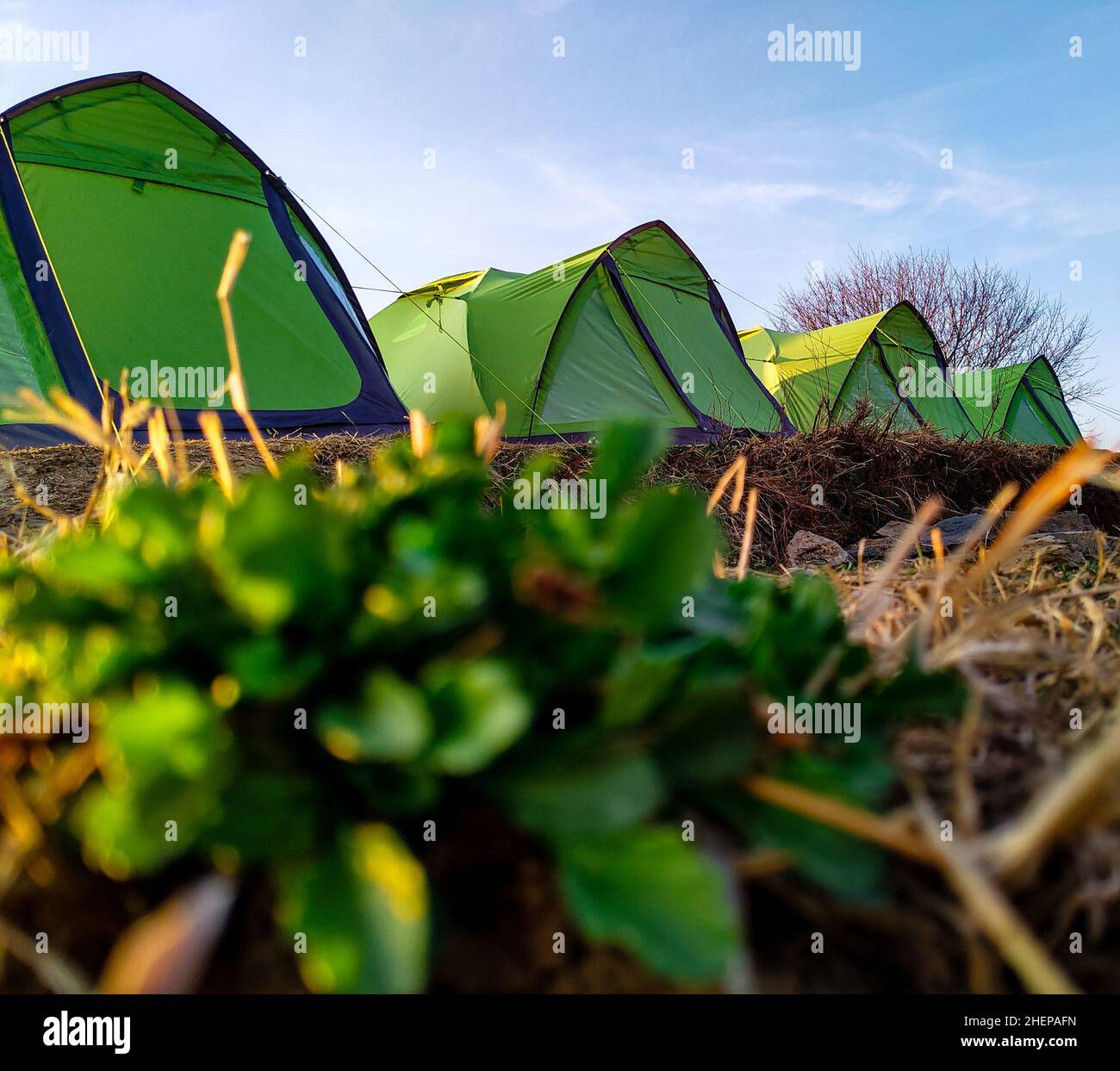 Base camping hi-res stock photography and images - Alamy