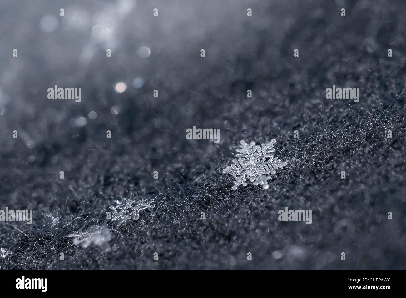 Extreme close up snowflake hi-res stock photography and images - Alamy