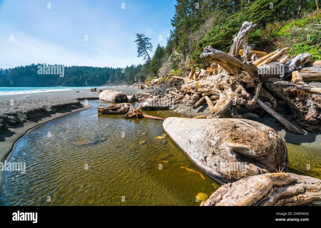 Second beach at mt. Olympic national park,Washington,usa Stock Photo ...