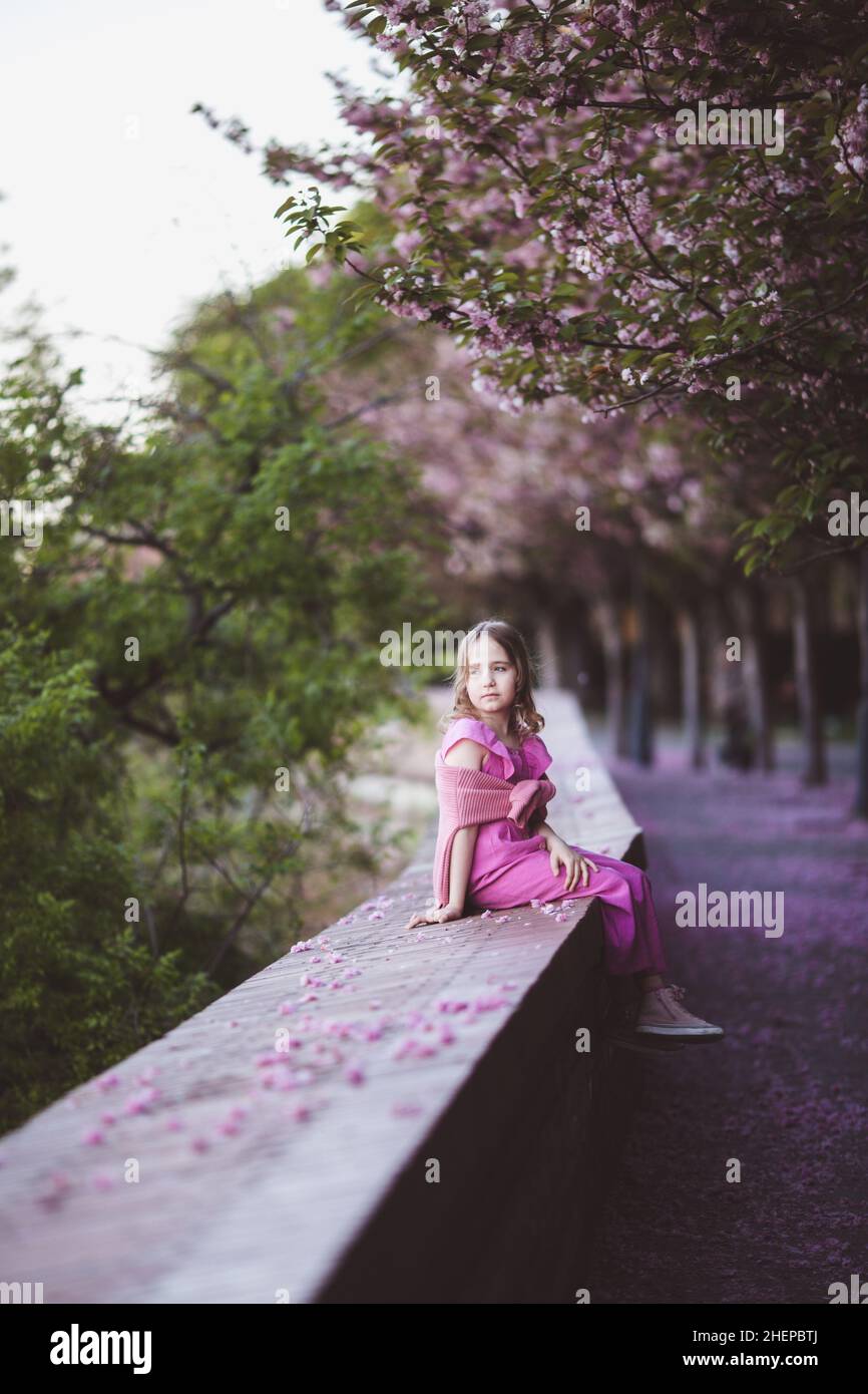 The girl from buda hi-res stock photography and images - Alamy
