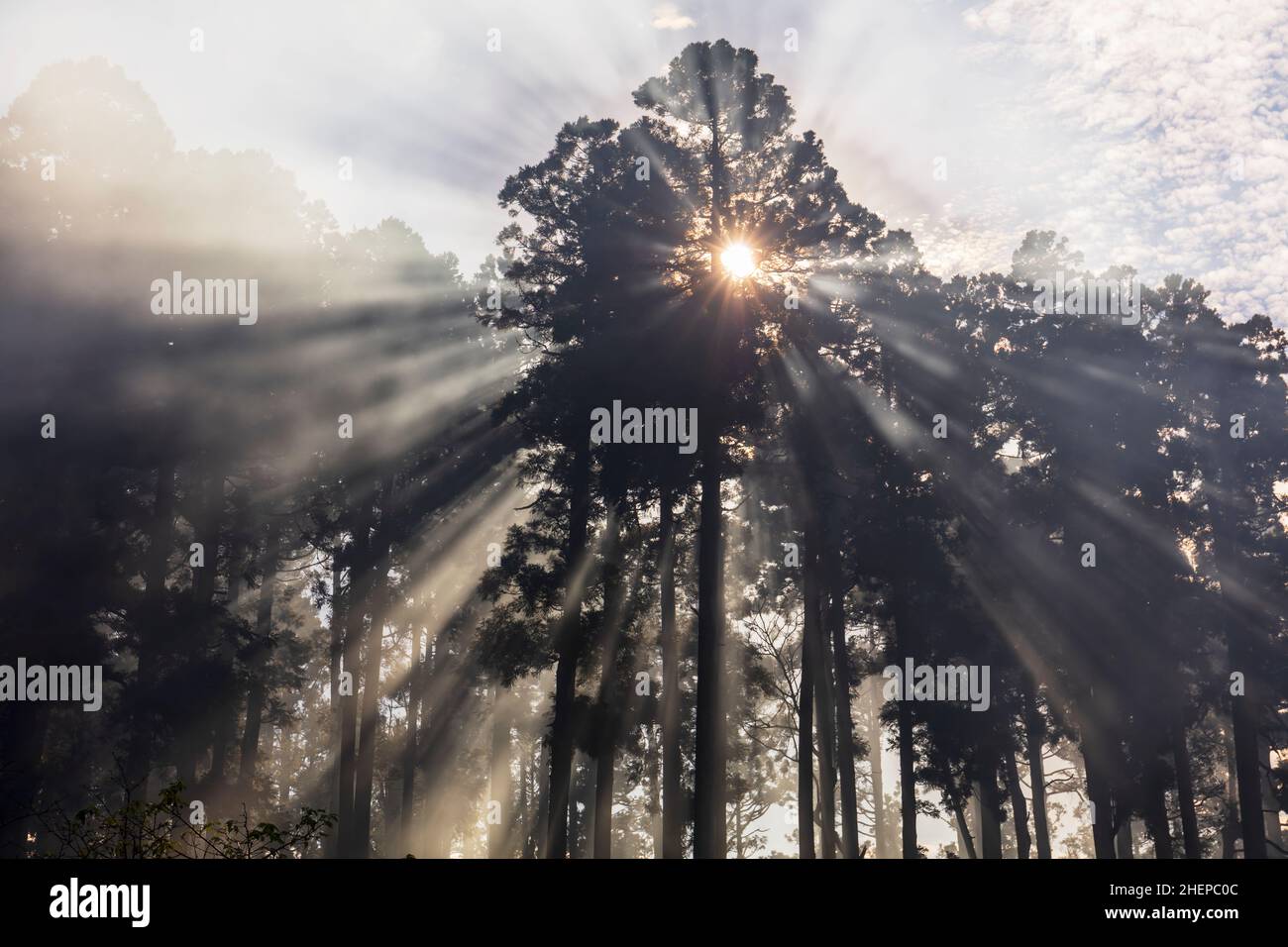 Light Glow, Chiba Prefecture Stock Photo - Alamy