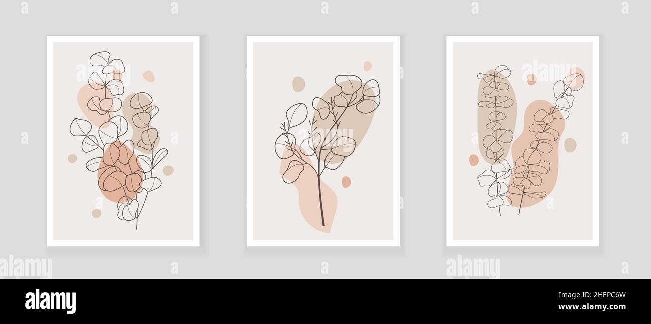 Bohemian eucalyptus branch vector. Eucalyptus with leaves in a linear ...