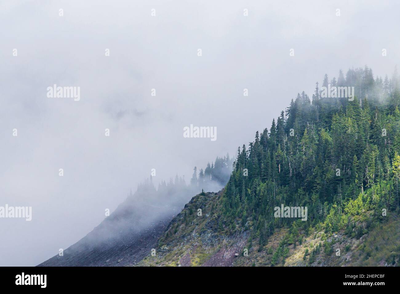 Foggy sunrise over forest tree hi-res stock photography and images - Alamy