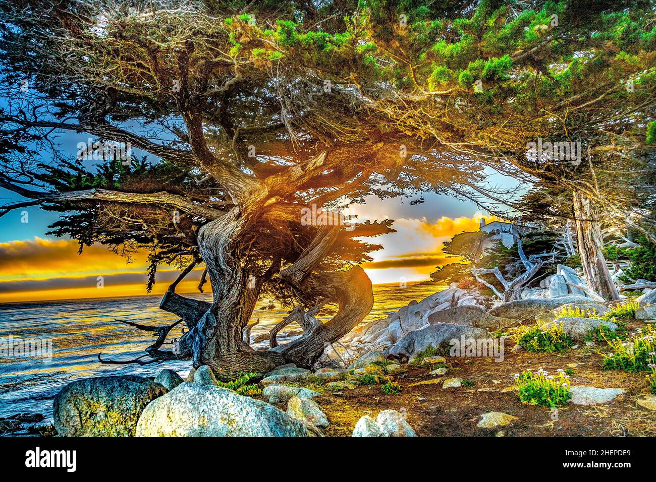 Point lobos usa hi-res stock photography and images - Alamy