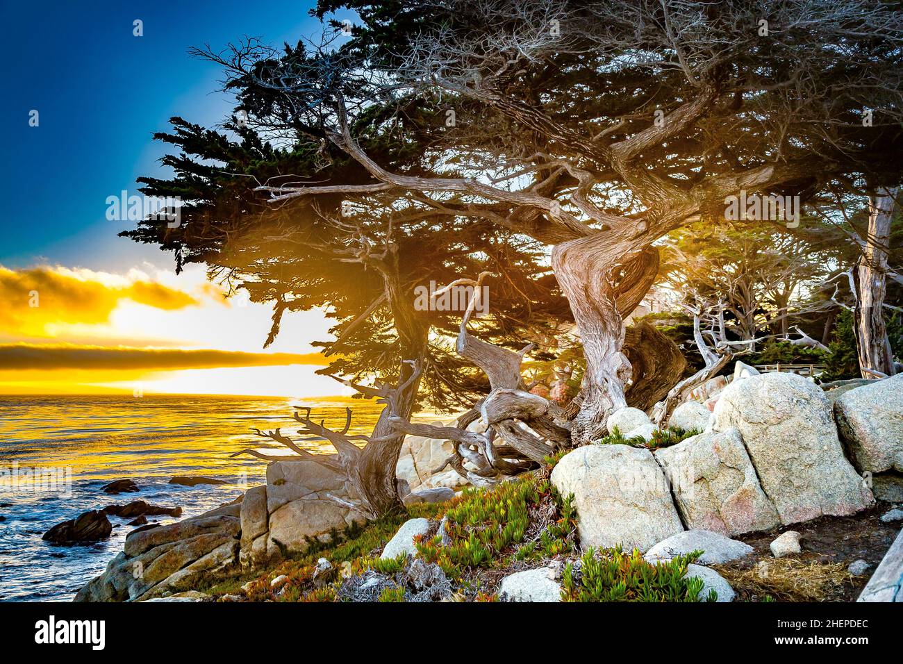 Point lobos usa hi-res stock photography and images - Alamy
