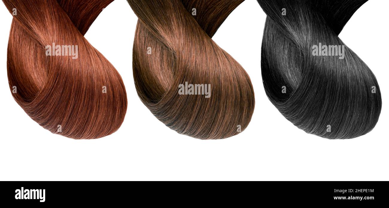 Hair natural color palette , Different colours isolated on white ...