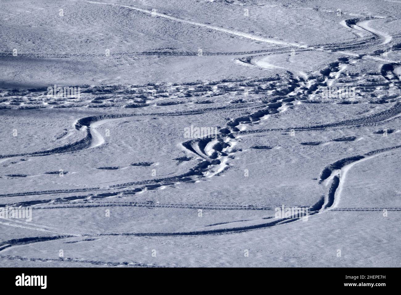 dolomites snow panorama alpine ski tracks detail off slope track Stock ...