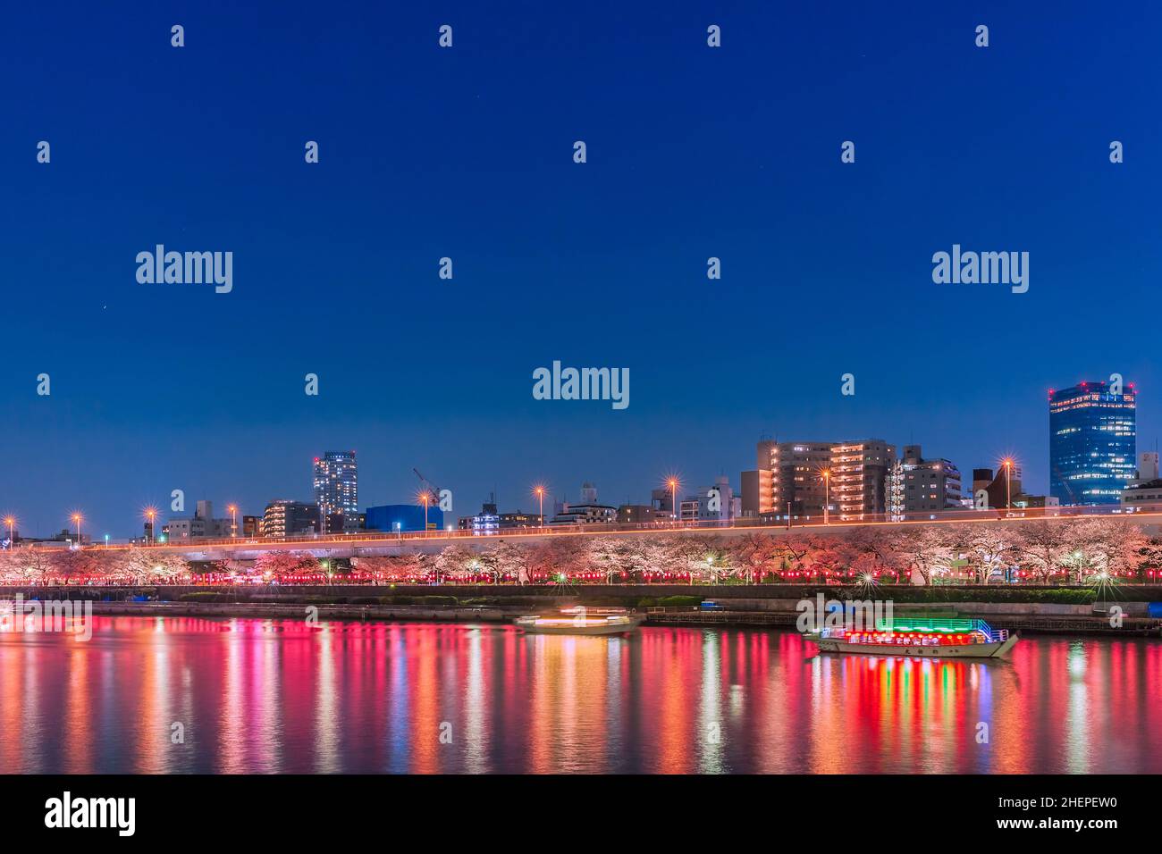 Tokyo Night View Of Sumida River Bay Area With Cherry Blossoms Stock ...