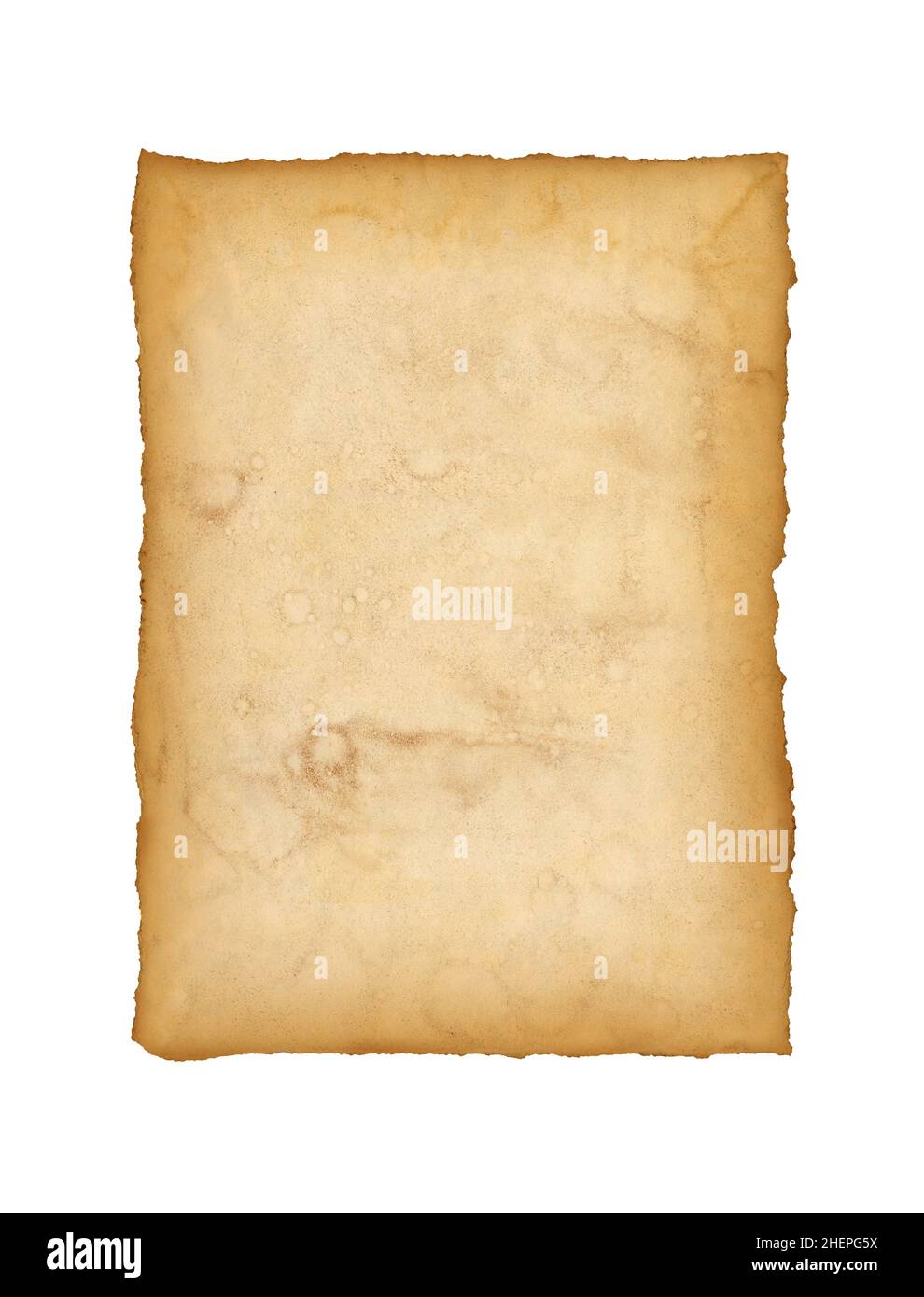 Old grunge paper sheet. Parchment isolated on white background Stock ...